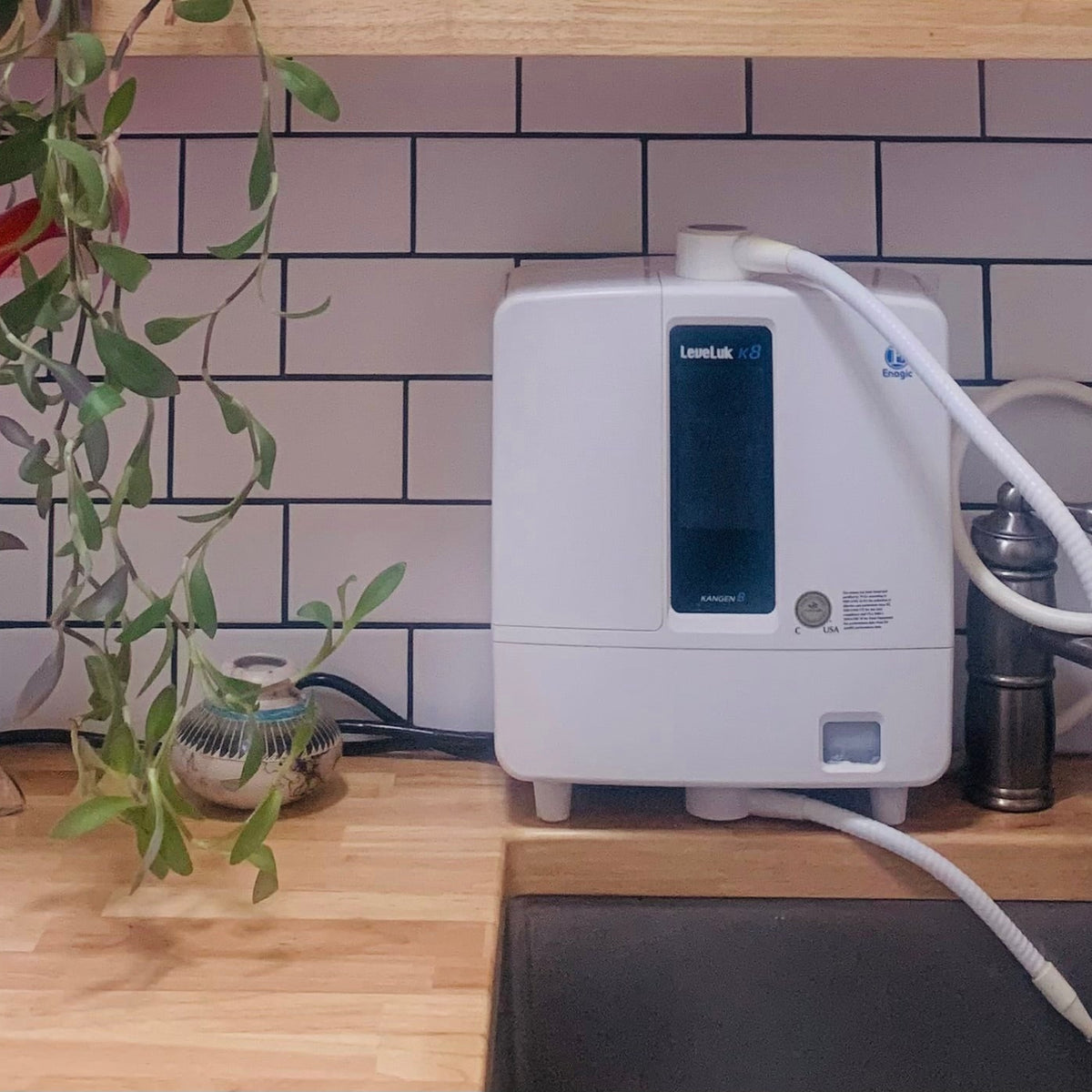 Kitchen – Bee Zero Plastic